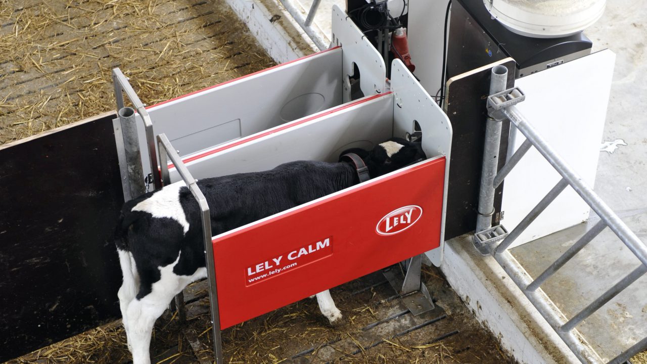 Lely: nuova allattatrice automatica Calm Control | TRATTORI Web - News ...