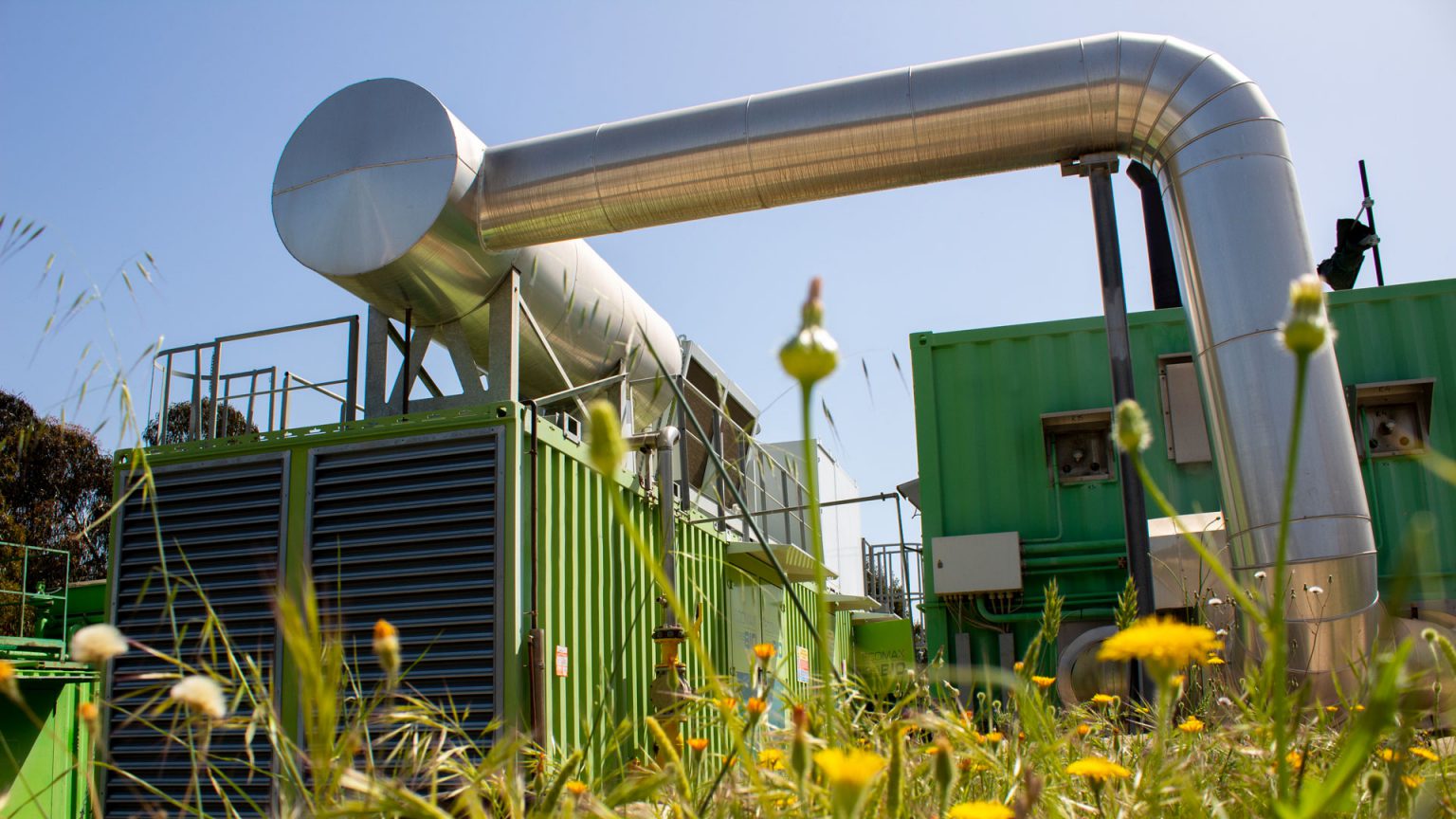 Biomasse, grande potenziale ancora inespresso | Trattori Web