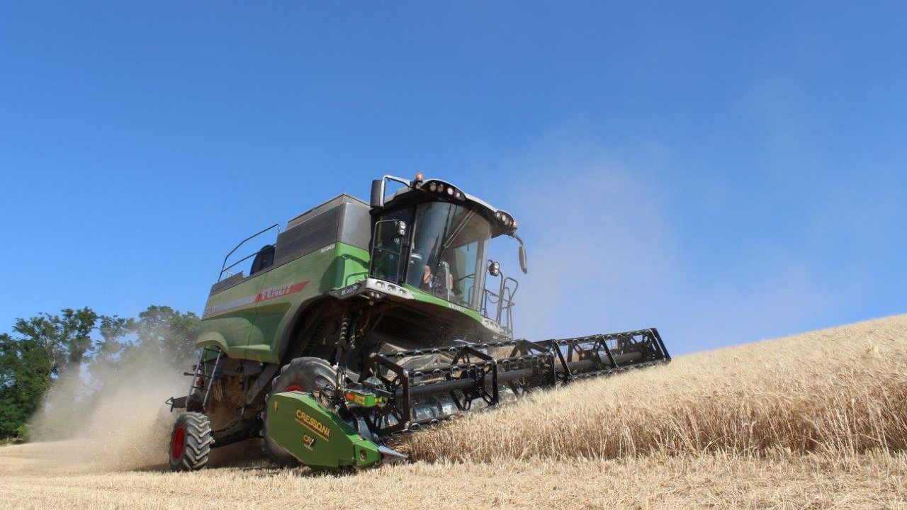 Fendt 5275 C SL, esame di maturità. La prova della mietitrebbia
