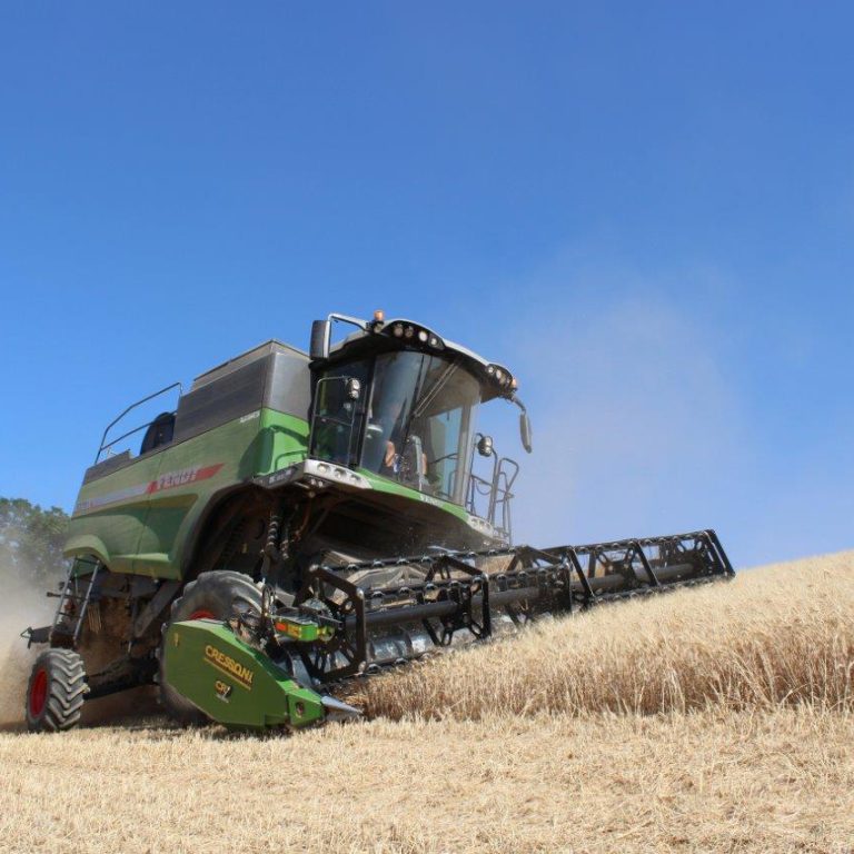 Fendt 5275 C SL, esame di maturità. La prova della mietitrebbia