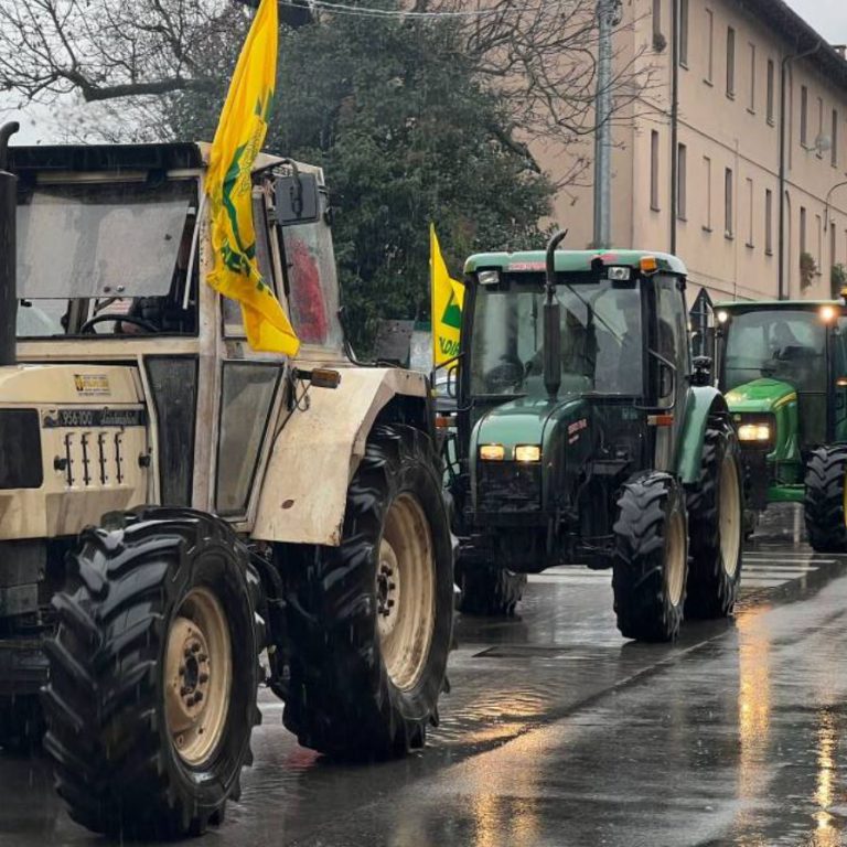 Monvalle, la sfilata dei trattori per il giorno del Ringraziamento
