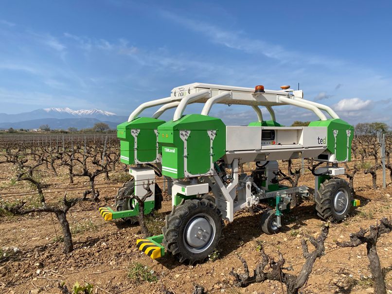 Naïo Technologies, focus sui robot agricoli Ted e Jo per vigneti e frutteti