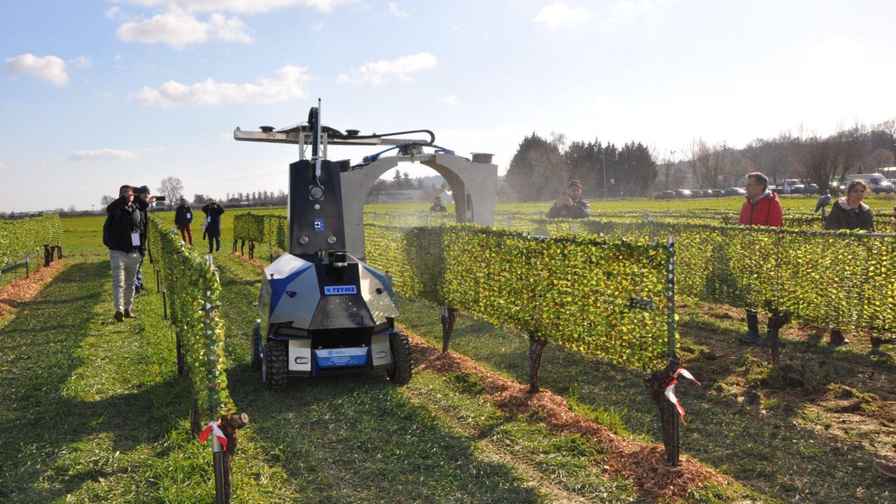 Weta Robot, il mezzo autonomo del progetto Scorpion per i vigneti