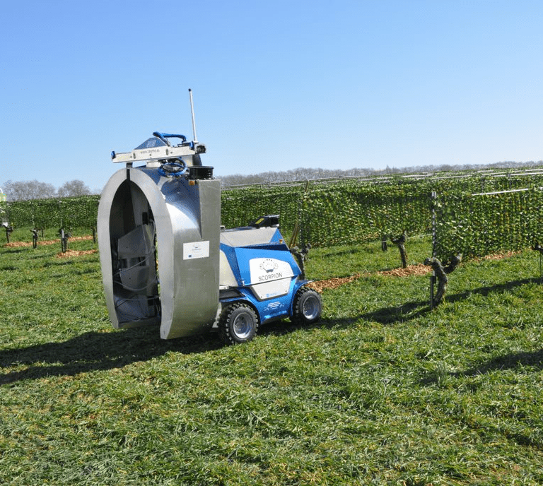 Weta Robot, il mezzo autonomo del progetto Scorpion per i vigneti