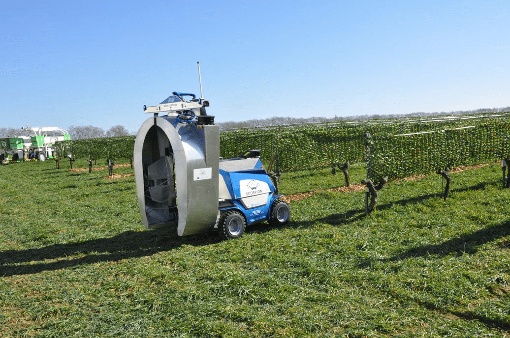 Weta Robot, il mezzo autonomo del progetto Scorpion per i vigneti