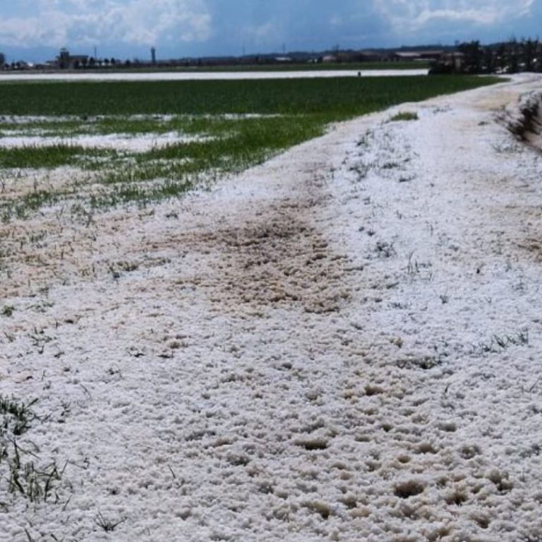 Coldiretti, «46 grandinate in meno di 24 ore tra Lombardia e Emilia»