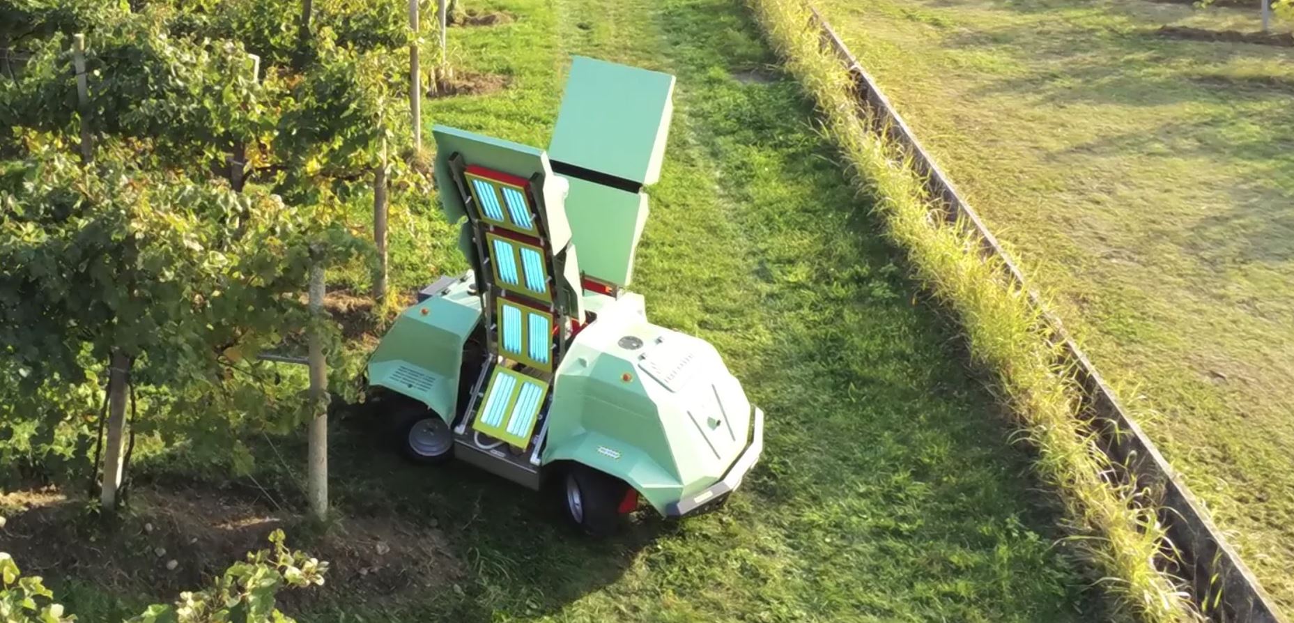 Icaro X4, il robot che cura i vigneti con i raggi UV-C