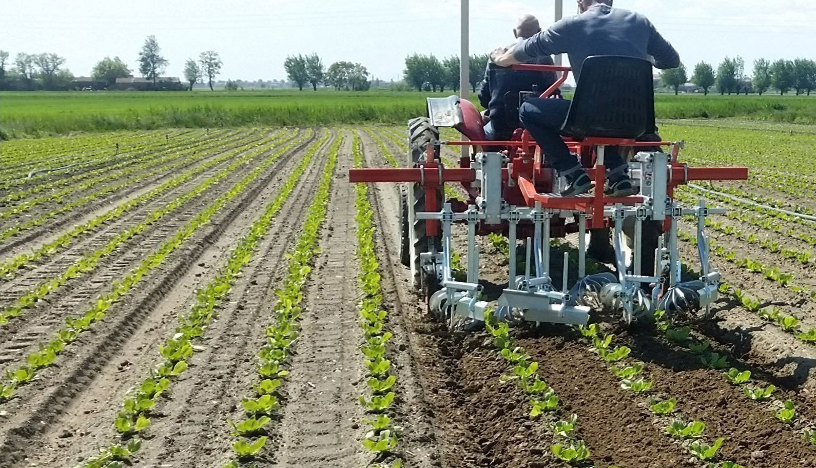 Rotosark, uno e trino: la sarchiatrice interfilare di Oliver Agro