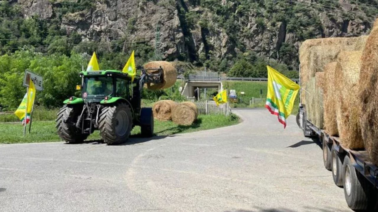 Valle d'Aosta, solidarietà tra agricoltori: consegnate 70 rotoballe