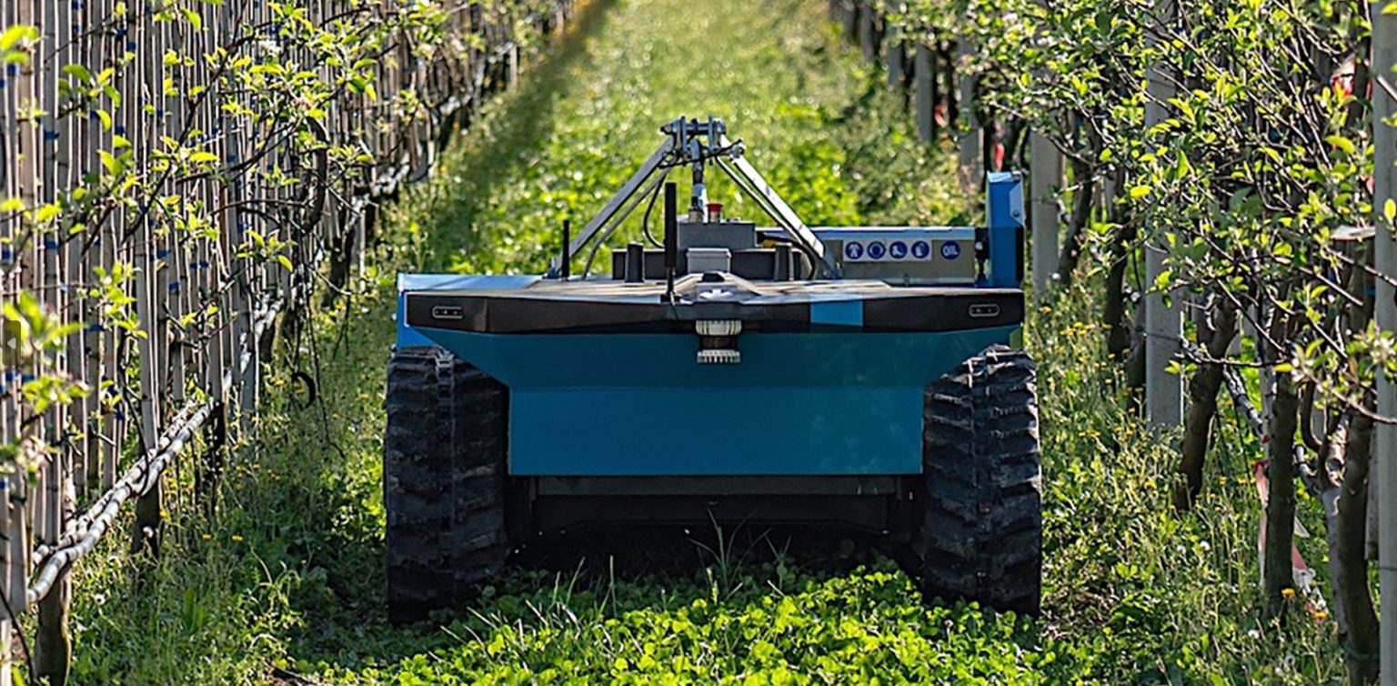 Fieldrobotics, c'è Hammerhead: un robot agricolo cingolato